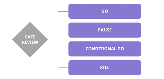 The Ultimate Guide to the Phase-Gate Process | Human-Centered Change ...