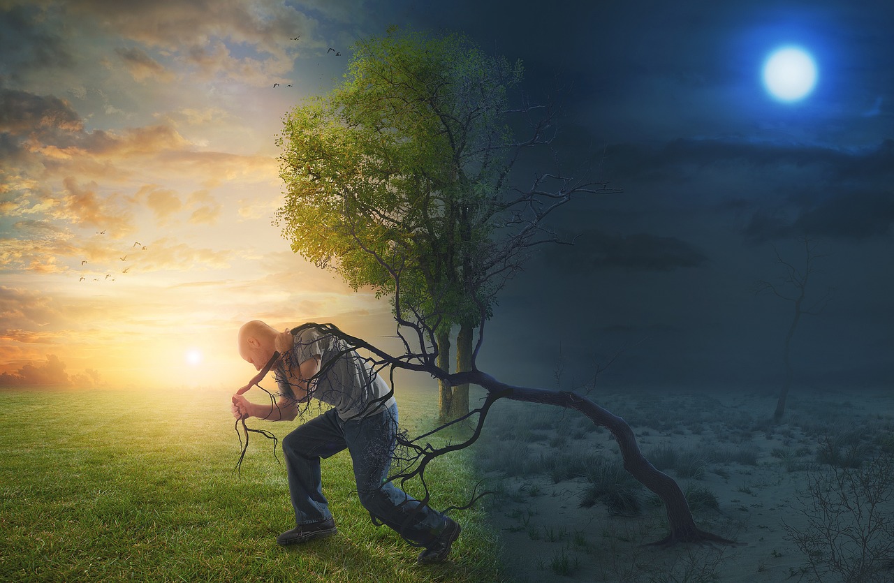 Success is a Hardship Too - Human-Centered Change and Innovation